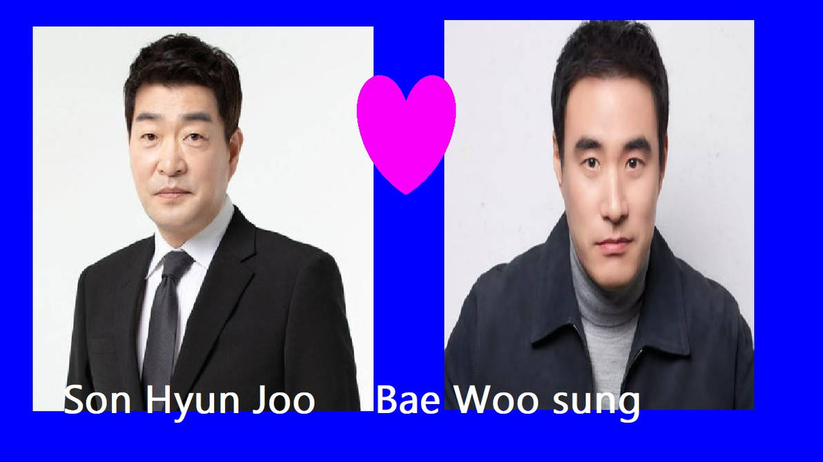 Son Hyun Joo And Bae Woo Sung 2017 Fan Made By Craycrenrantryhome17 On