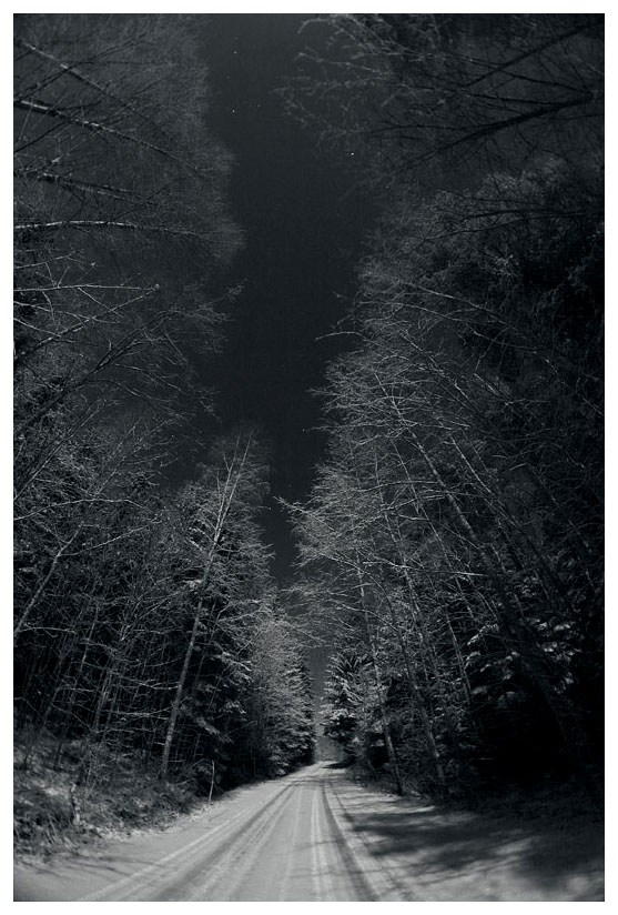 Moonshadow by RedLane on DeviantArt