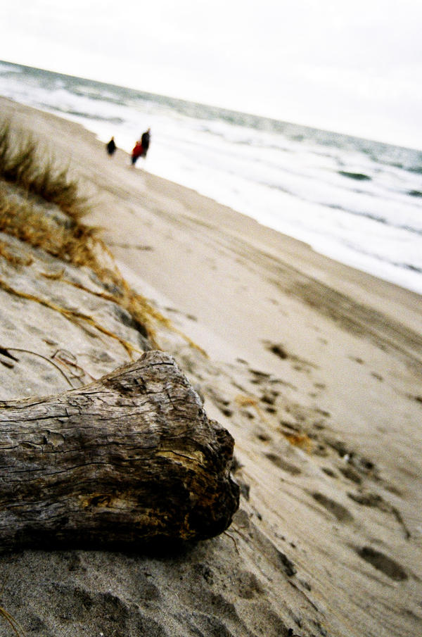 papamoa beach10 by wantok on DeviantArt