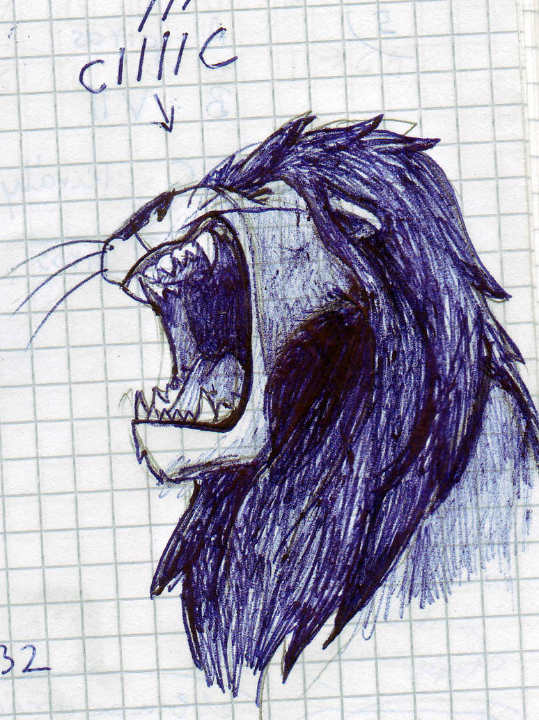 lion in my mathe book by timacs on DeviantArt