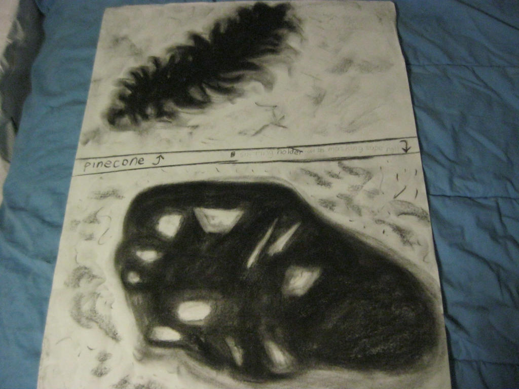 Drawing/Observation Shadow Project Part 4 by Winter-Colorful on DeviantArt Drawing/Observation Shadow Project Part 4 by Winter-Colorful on DeviantArt