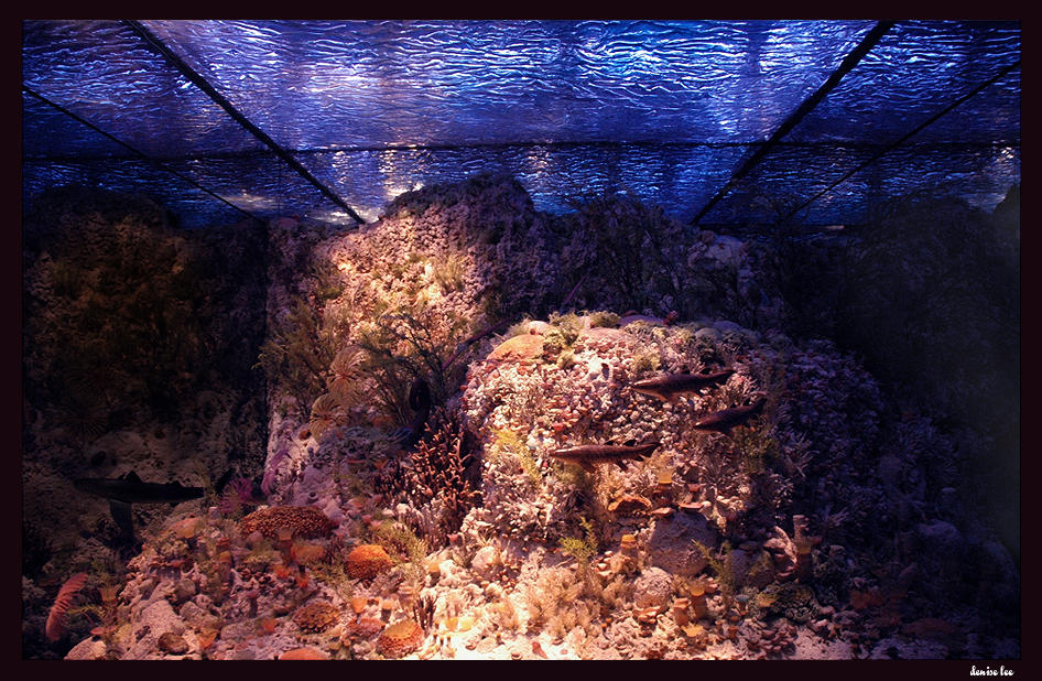 underwater domain by queiferdee on DeviantArt