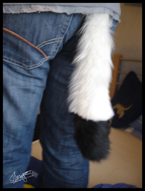 My First Tail by world-peace on DeviantArt