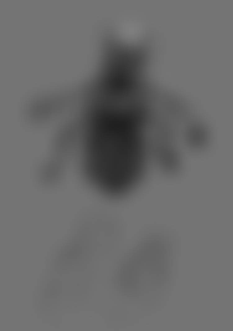 Mother Demon Wip 3 By Infinitypilot On Deviantart