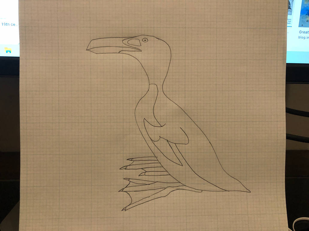 Great Auk By R Rex On Deviantart