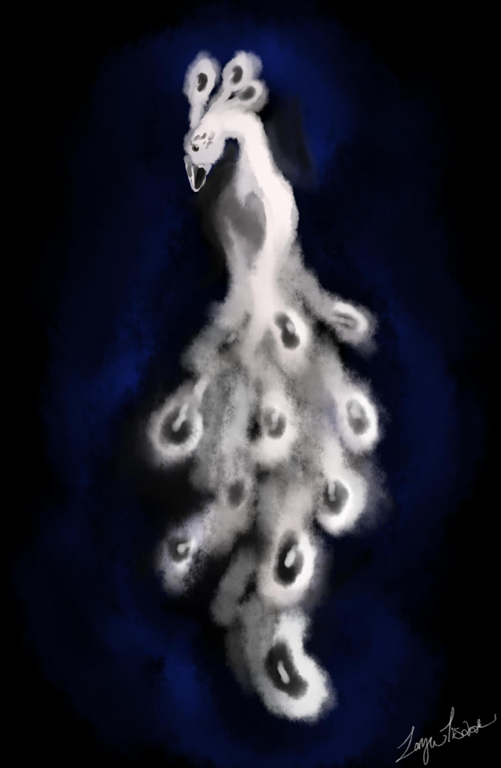 Albino Peacock By Ltisdale On Deviantart