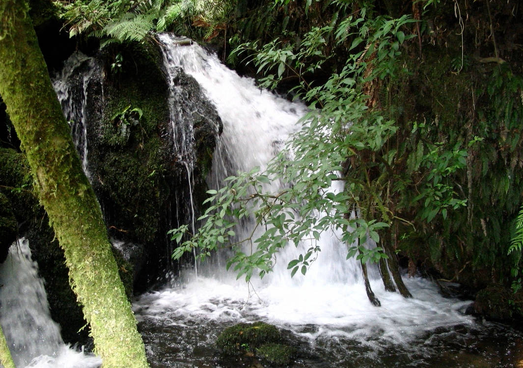 Waterfall grace by Spirit-catcher on DeviantArt