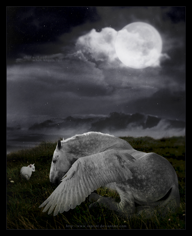 when angels fall .. by inPrint on DeviantArt