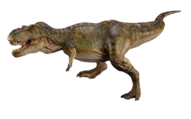 Jurassic Park T Rex Render 8 By Bonnieta123 On Deviantart