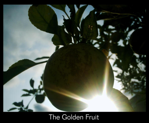 The Golden Fruit by blackspice on DeviantArt