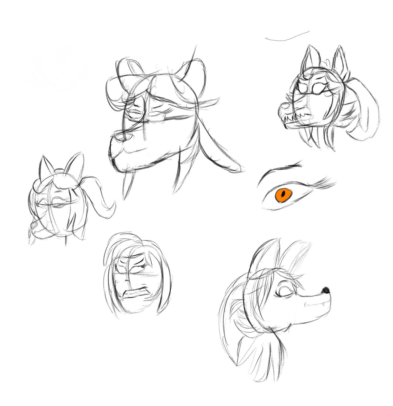 Werewolf Girl Doodles By Amateurfredboi On Deviantart