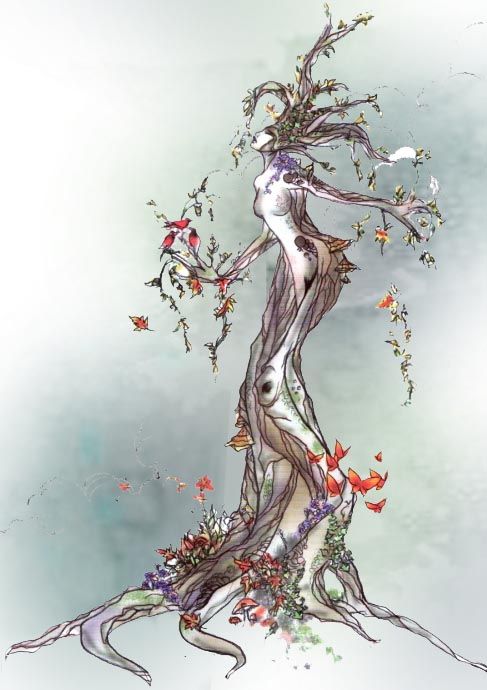 The dryad by Naralim on DeviantArt