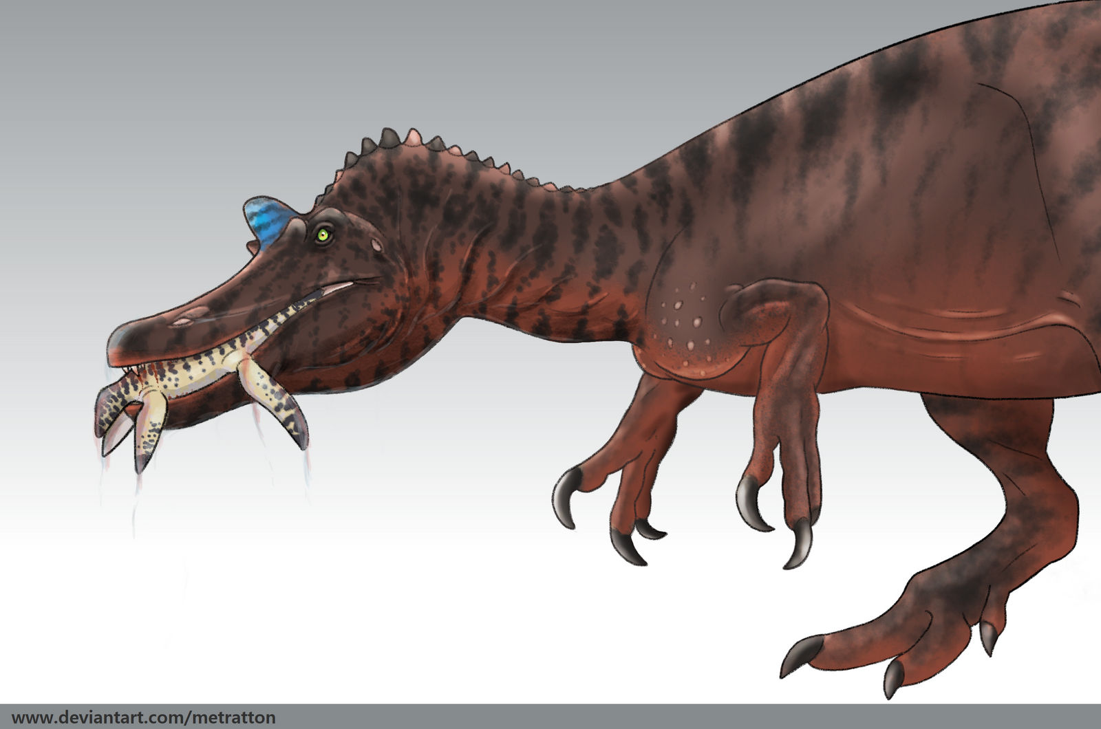 Baryonyx Walkeri By B F M On Deviantart