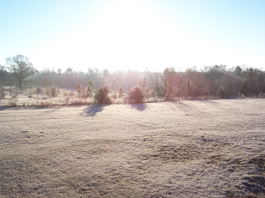 Cold Morning by oriontaltos on DeviantArt