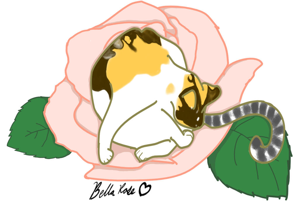 Bella Rose By Alaya16 On Deviantart
