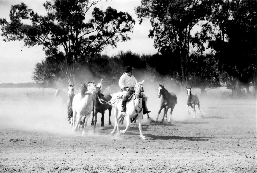 Los Gauchos by variolax on DeviantArt