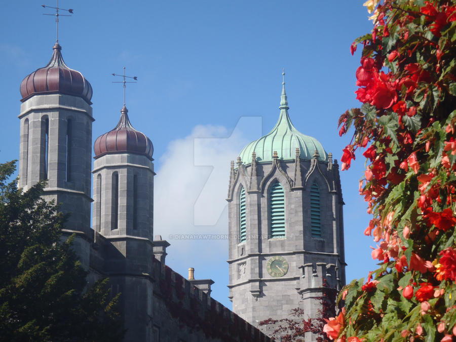 Nui Galway 1 By Dianahawthorne On Deviantart