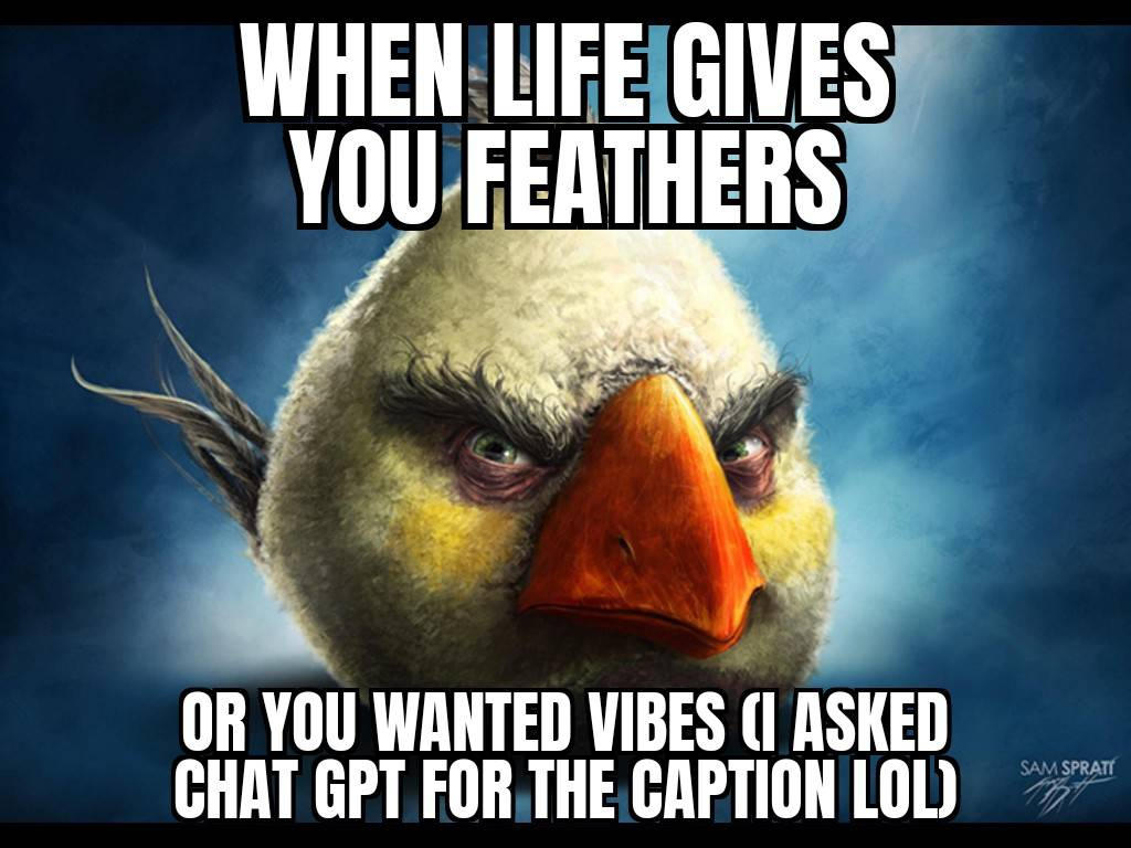Realistic Angry Birds Meme 8 By Murgicissus On Deviantart