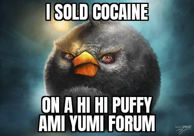 Realistic Angry Birds Meme 16 By Murgicissus On Deviantart