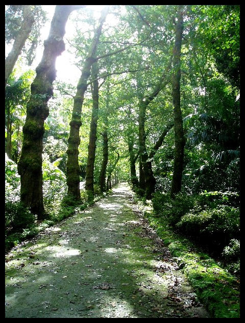 Harmony Walk by BabyStrange on DeviantArt