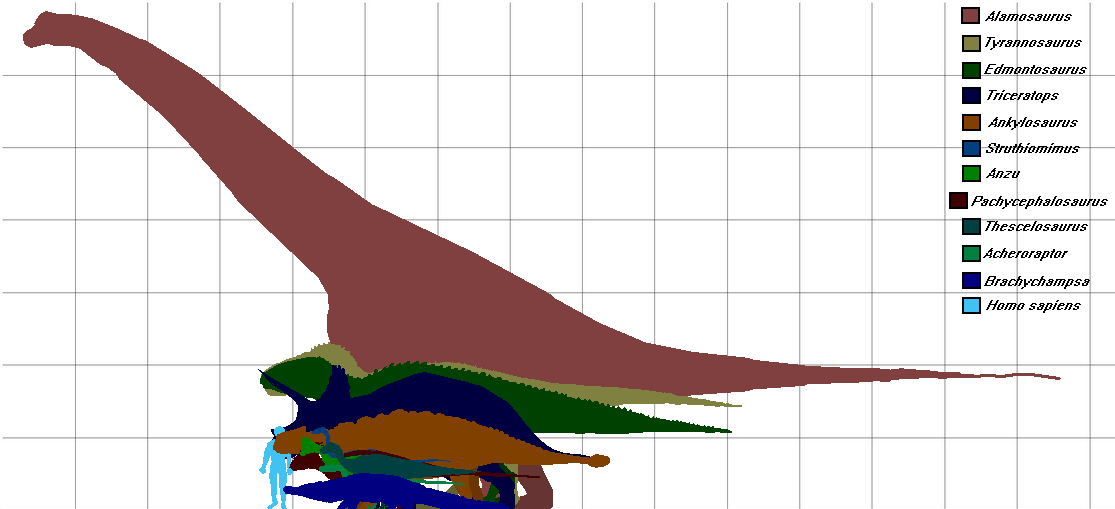 Hell Creek Archosaurian Size Chart by Gojira5000 on DeviantArt Hell Creek Archosaurian Size Chart by Gojira5000 on DeviantArt