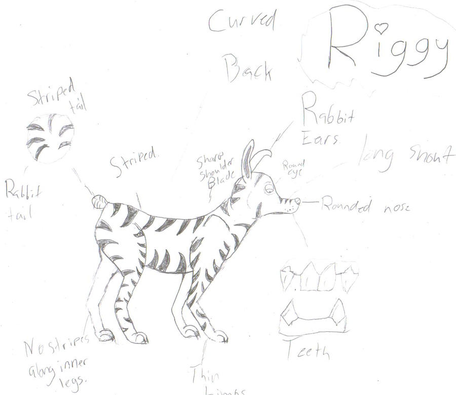 Riggy: Character sheet by JenJenDragen on DeviantArt