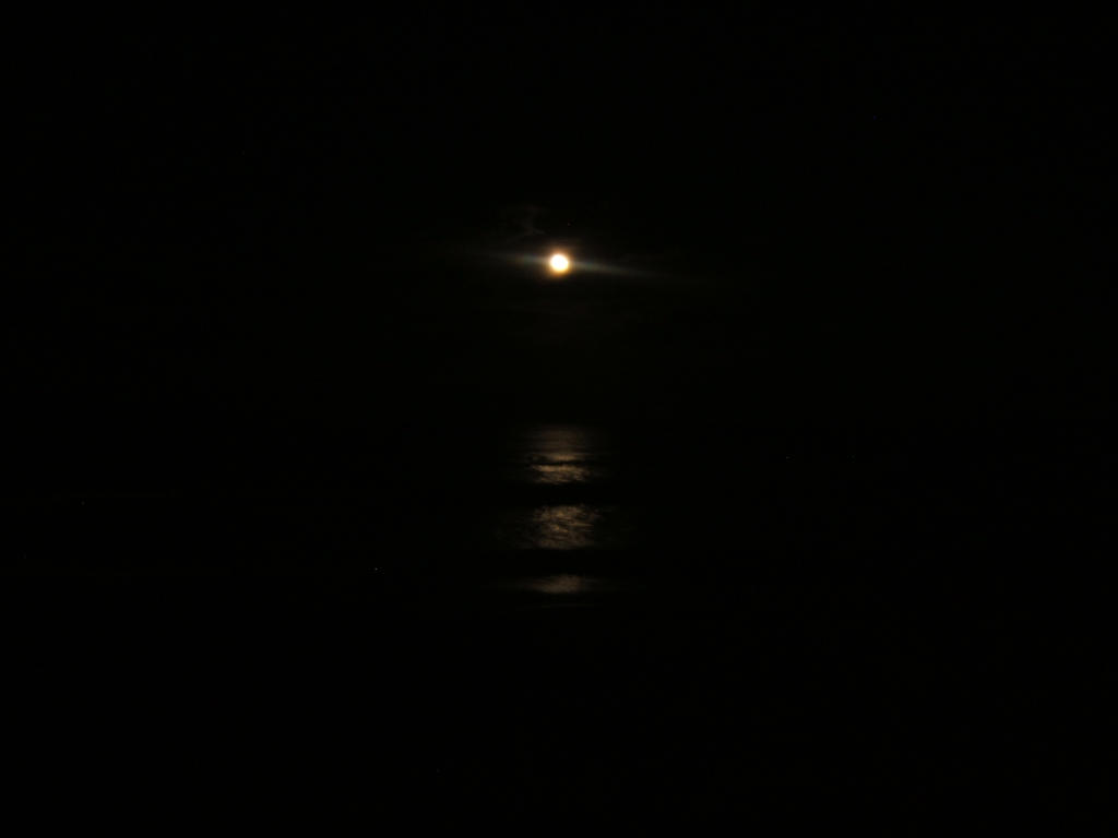 Ocean Moon 2 By Paddynz On Deviantart