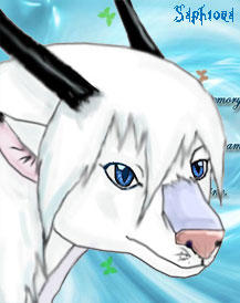 My favorite avatar by Shiver-the-dragon on DeviantArt