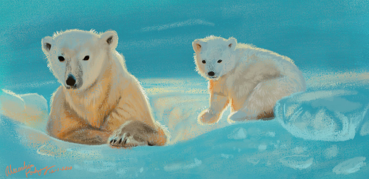 Polar Cub By Primroseraptor On Deviantart