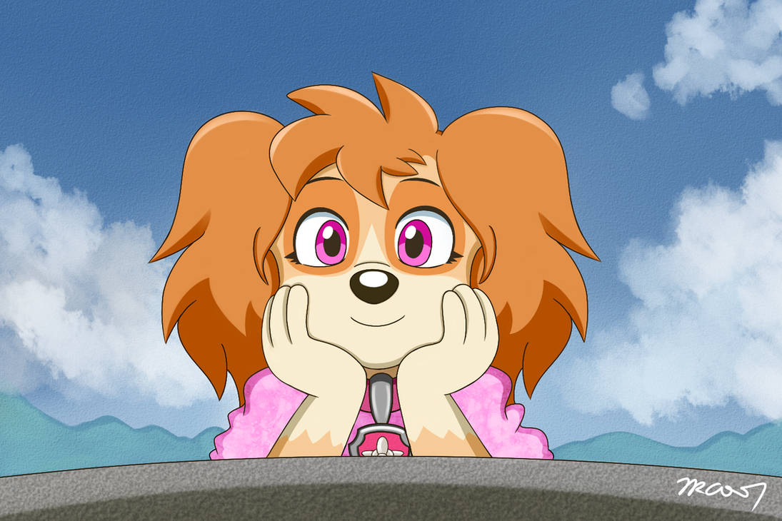 Paw Patrol Skye By Trc001 On Deviantart