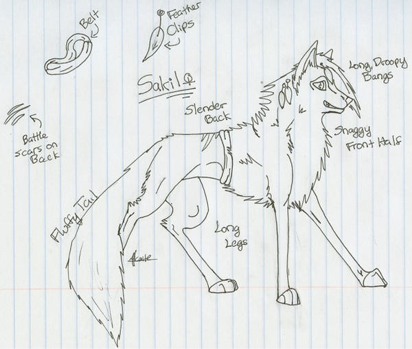 -+Sakil Scrap+- by Akante on DeviantArt