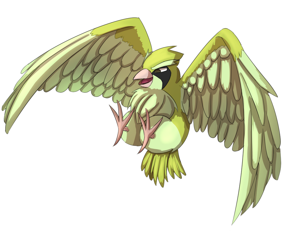 Pidgey Shiny For The Gotta Draw Em All Collab By Timothymatthews12 On Deviantart