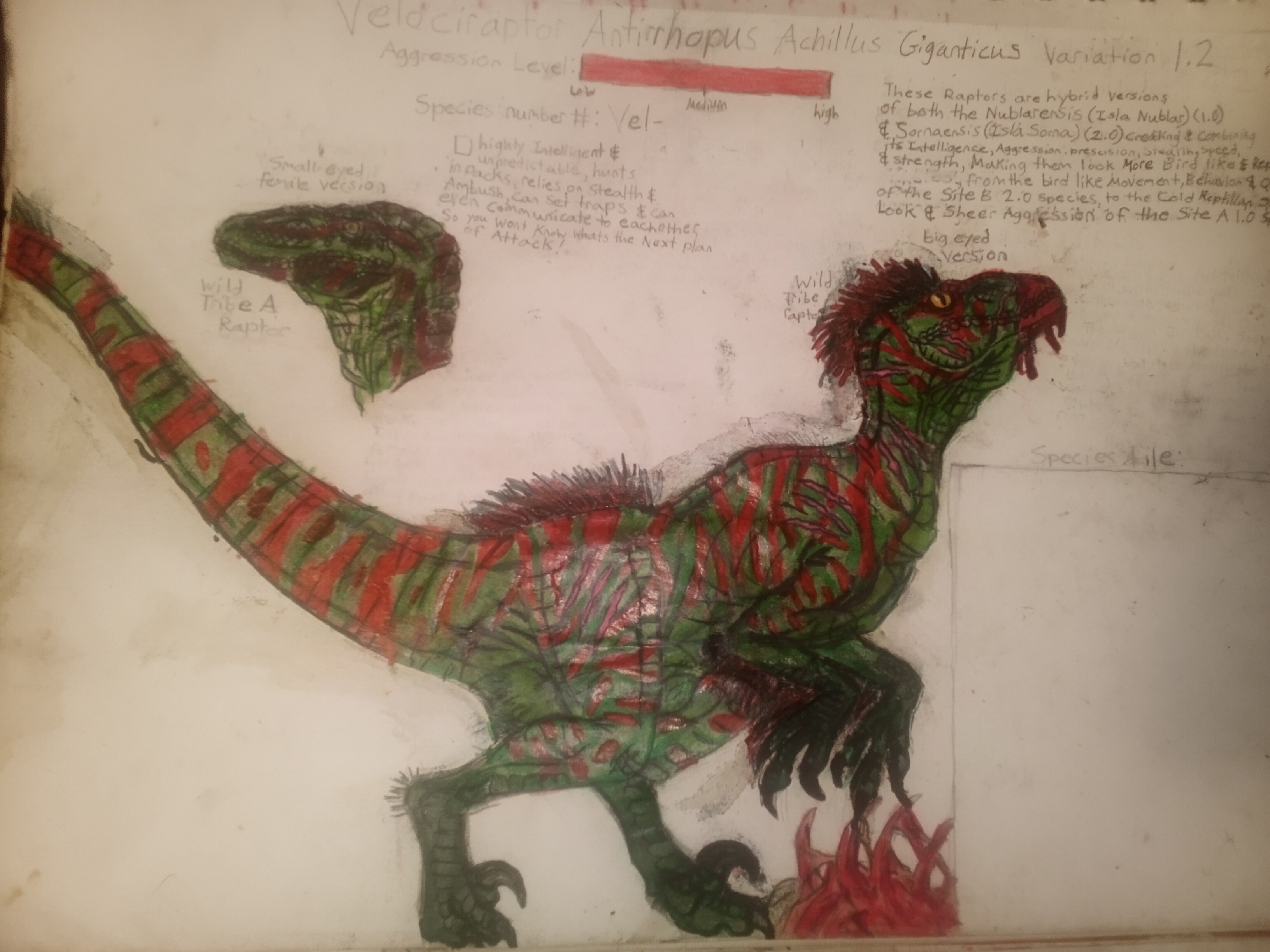 Old Jurassic Parkworld Velociraptor Ingen File By Wolfassassin754 On Deviantart