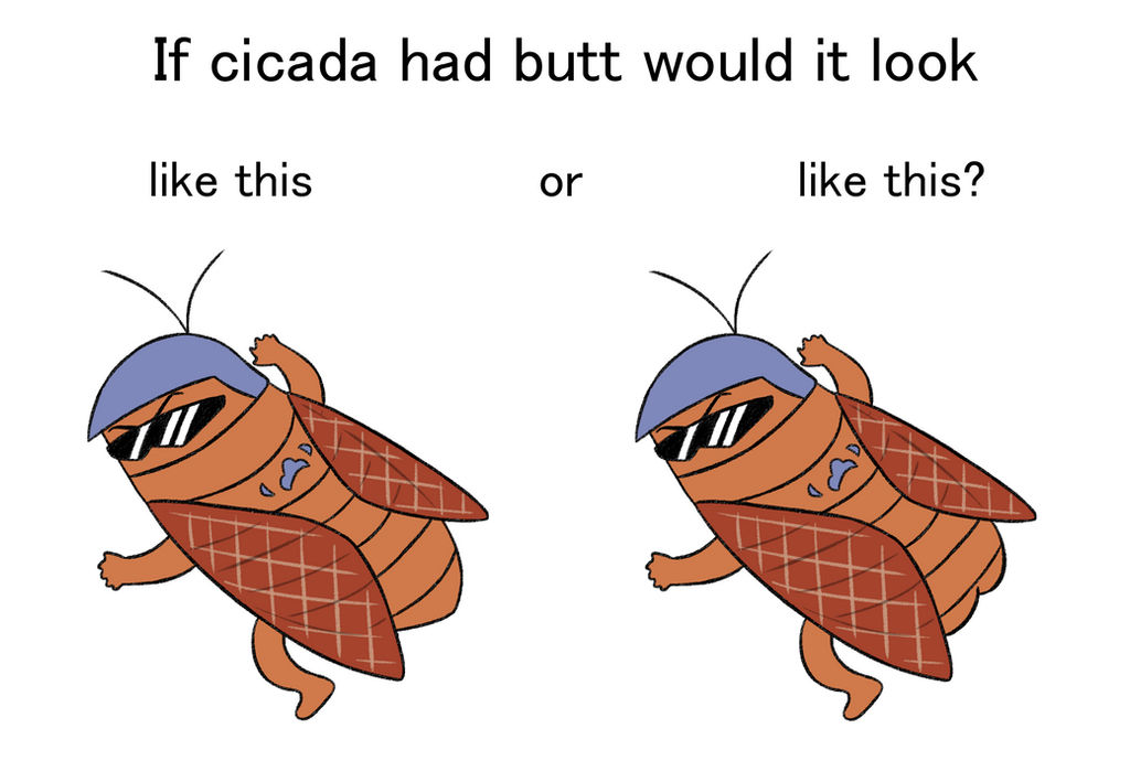 Cicada Meme By Shadowofwolf200 On Deviantart