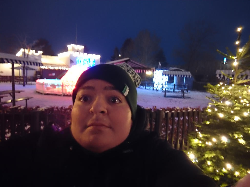 Me Taking Selfie On Legoland Billund Winter By Kari5 On Deviantart