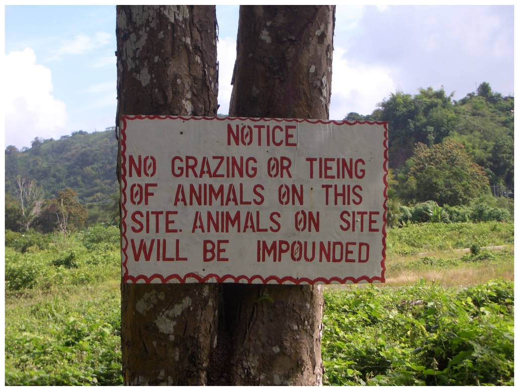 Brilliant Sign by monkeyman1988 on DeviantArt