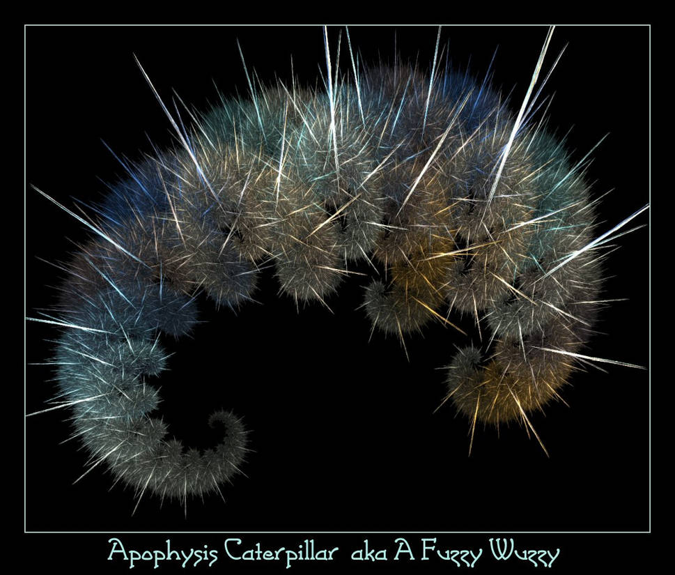 Fuzzy Wuzzy by Roaguewolf on DeviantArt