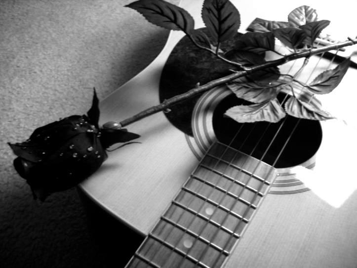classic guitar with a rose. by randomosityredefined on DeviantArt