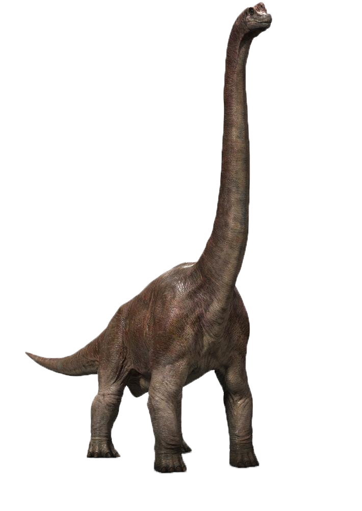 Jurassic World Camp Cretaceous Brachio Render 1 By Tsilvadino On Deviantart