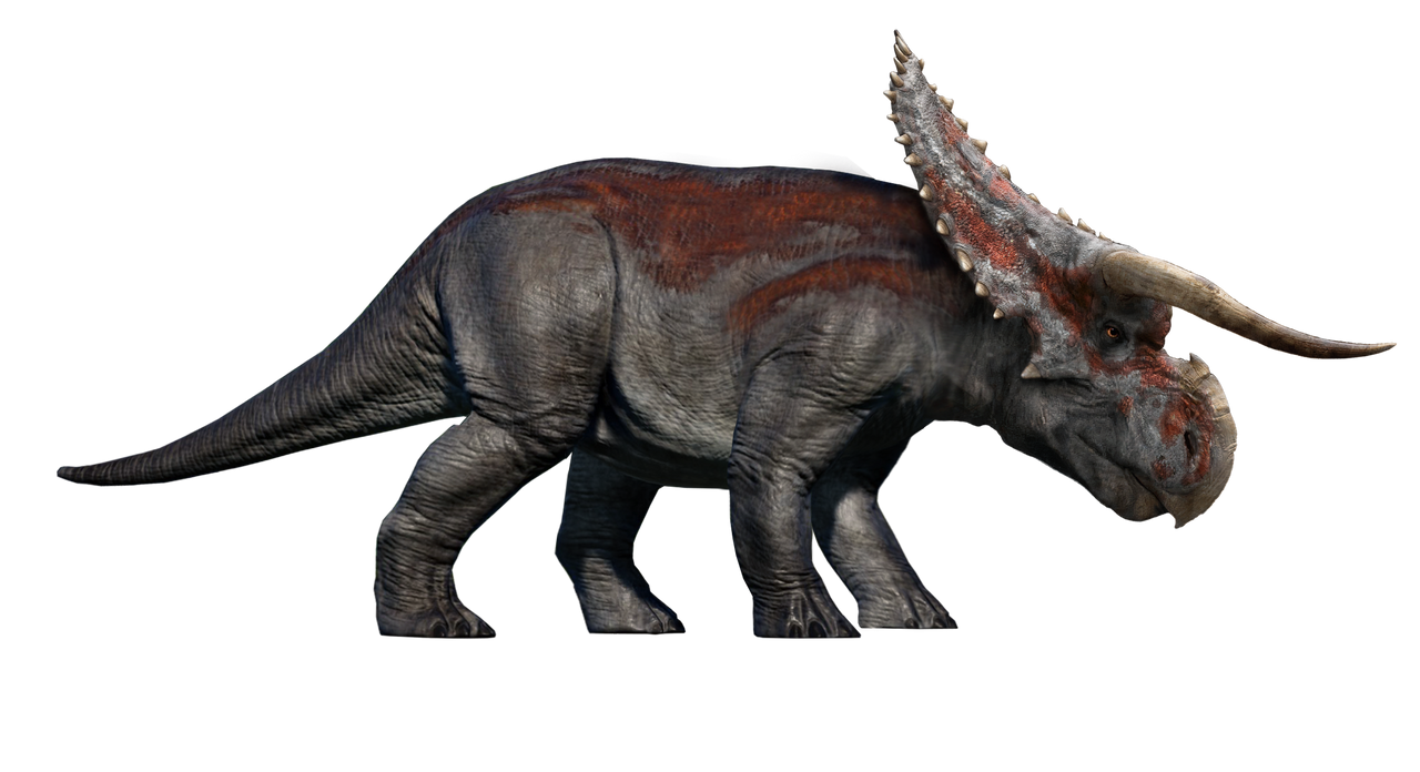 Jurassic World Male Nasutoceratops Render 1 By Tsilvadino On Deviantart