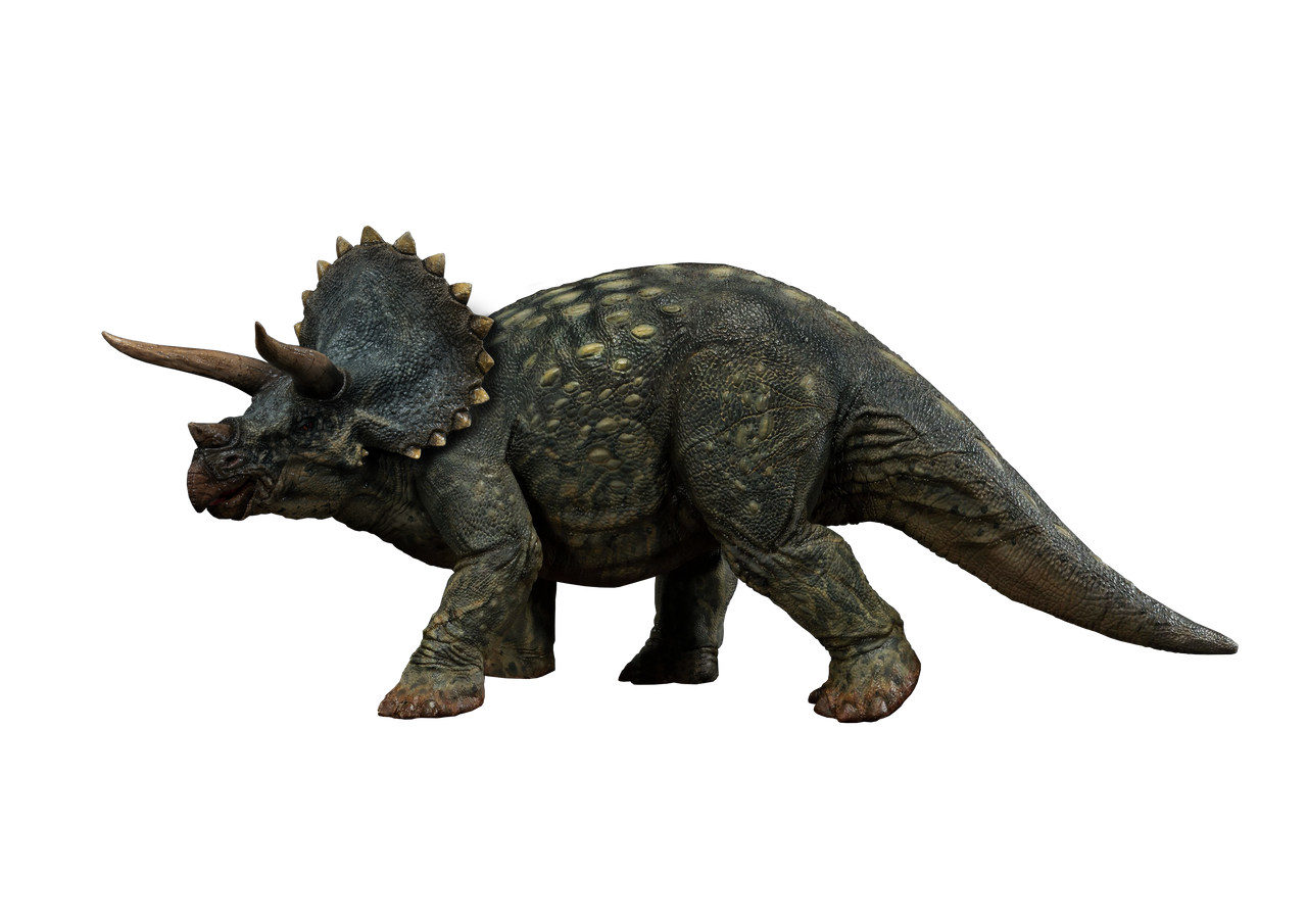 Jurassic World Triceratops Render 7 By Tsilvadino On Deviantart
