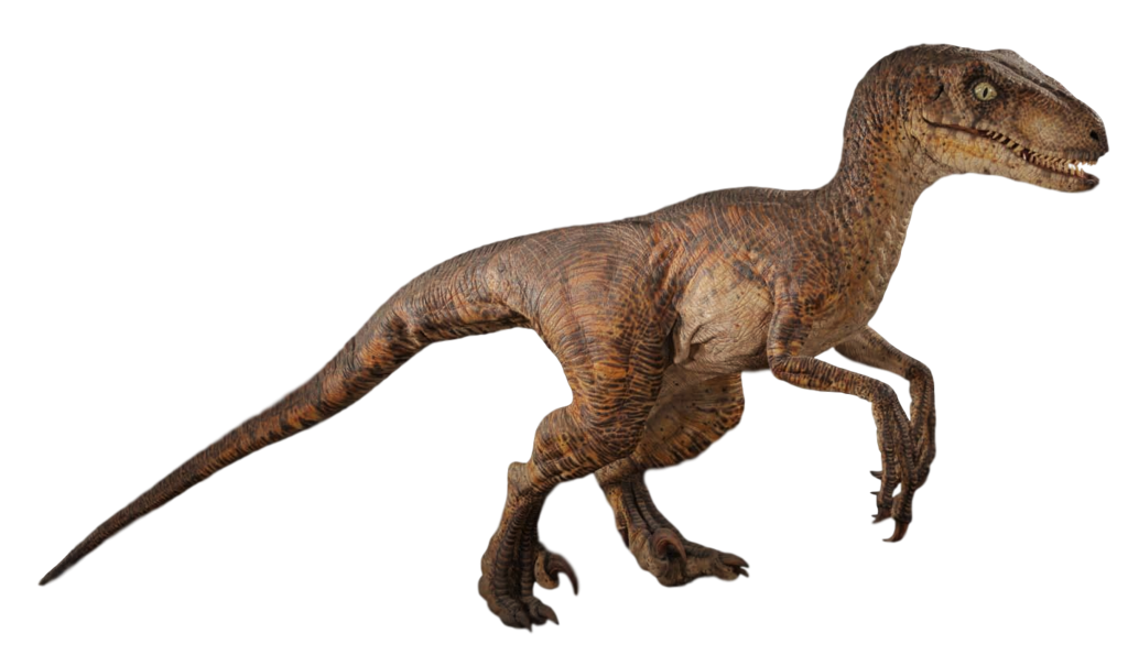 Jurassic World Velociraptor Render 1 By Tsilvadino On Deviantart