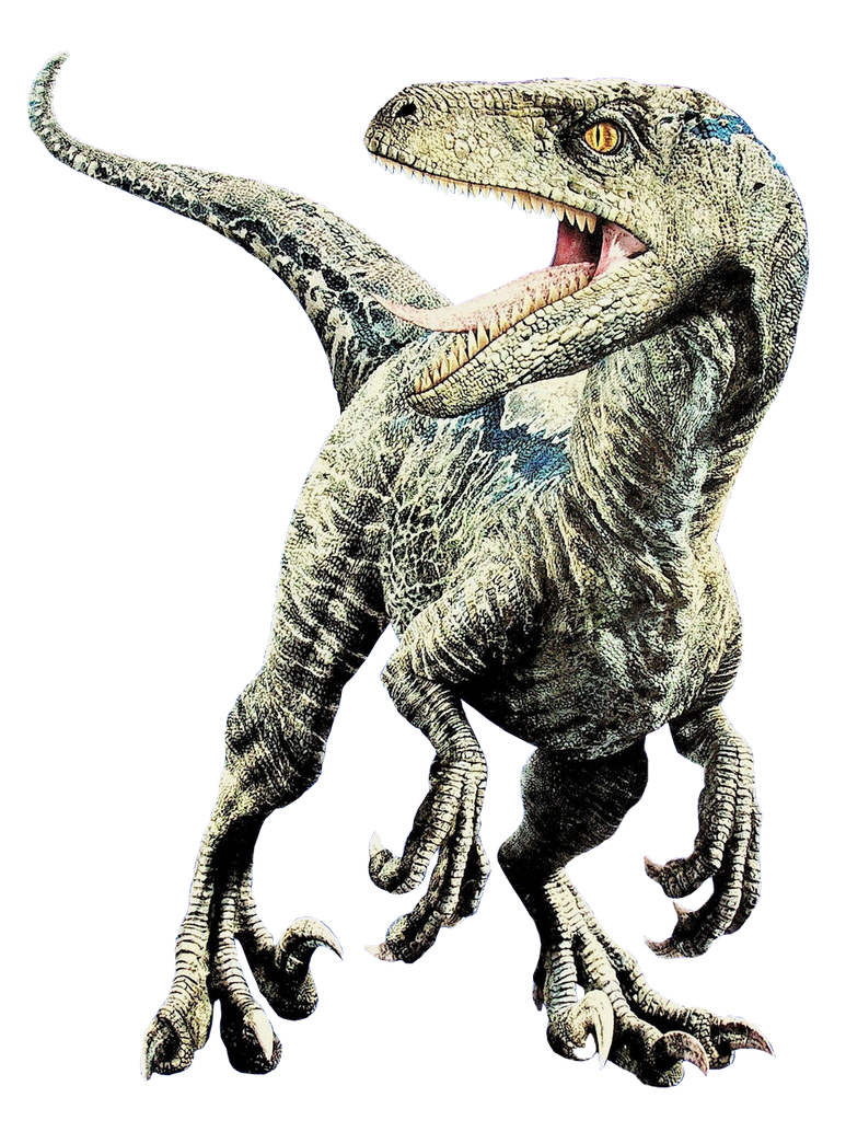 Jurassic World Velociraptor Blue Render 6 By Tsilvadino On Deviantart