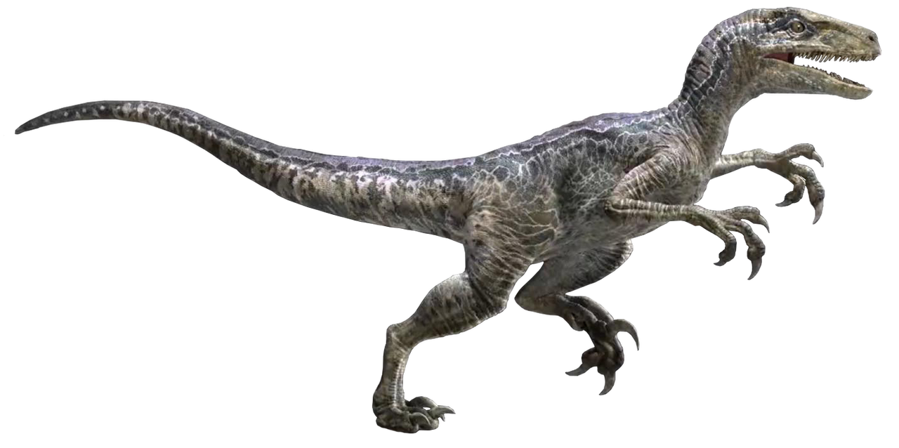 Jurassic World Velociraptor Blue Render 7 By Tsilvadino On Deviantart