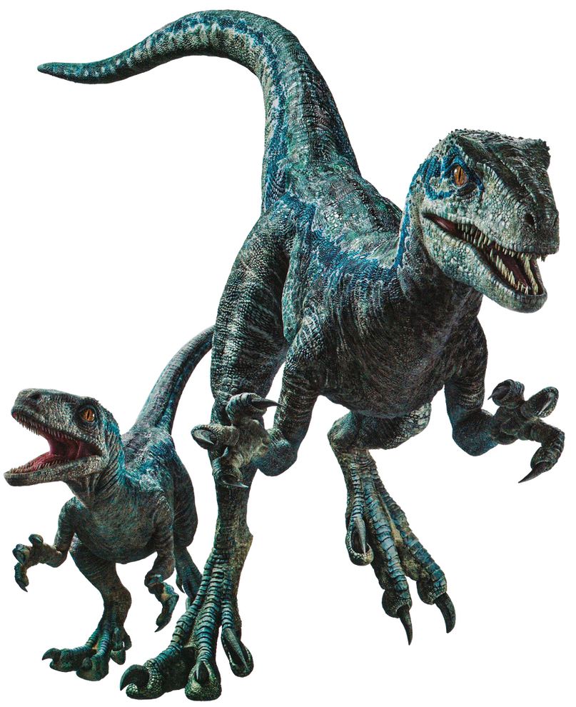 Jurassic World Blue And Beta Render 1 By Tsilvadino On Deviantart