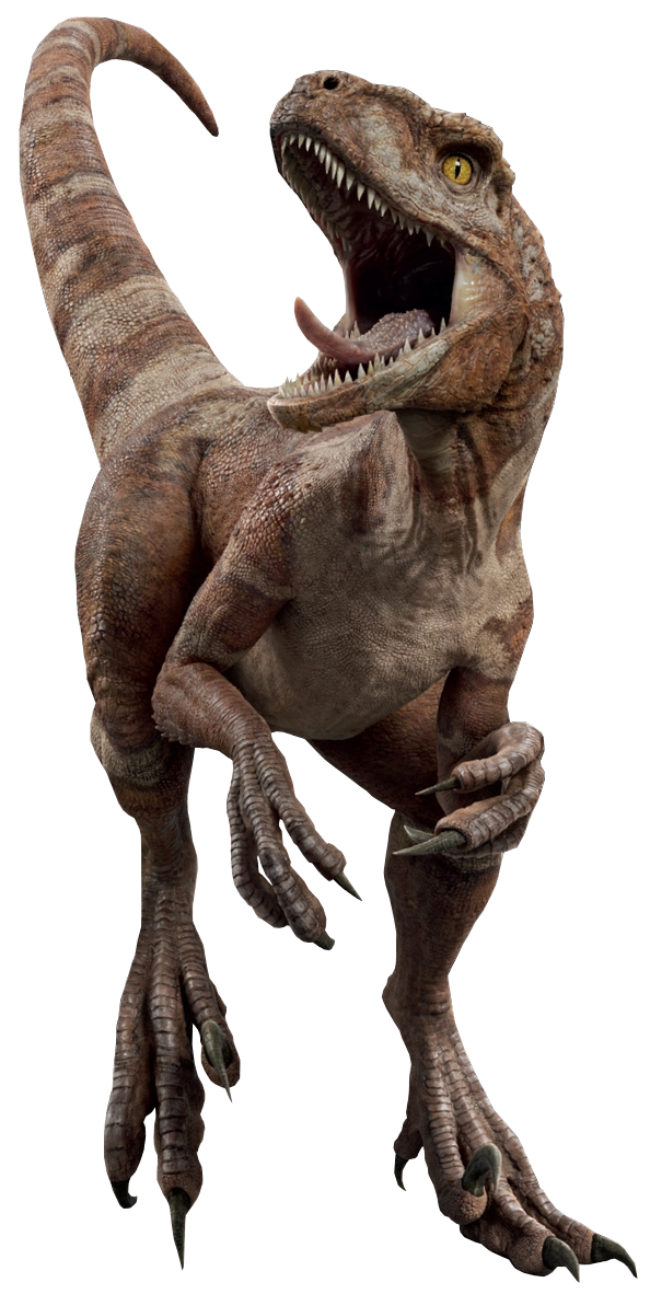 Jurassic World Atrociraptor Red Render 2 By Tsilvadino On Deviantart