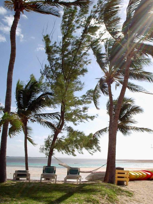 Coco Cay by Midnighthorsemen on DeviantArt