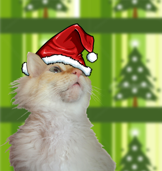 Santa Cat by Ambius on DeviantArt