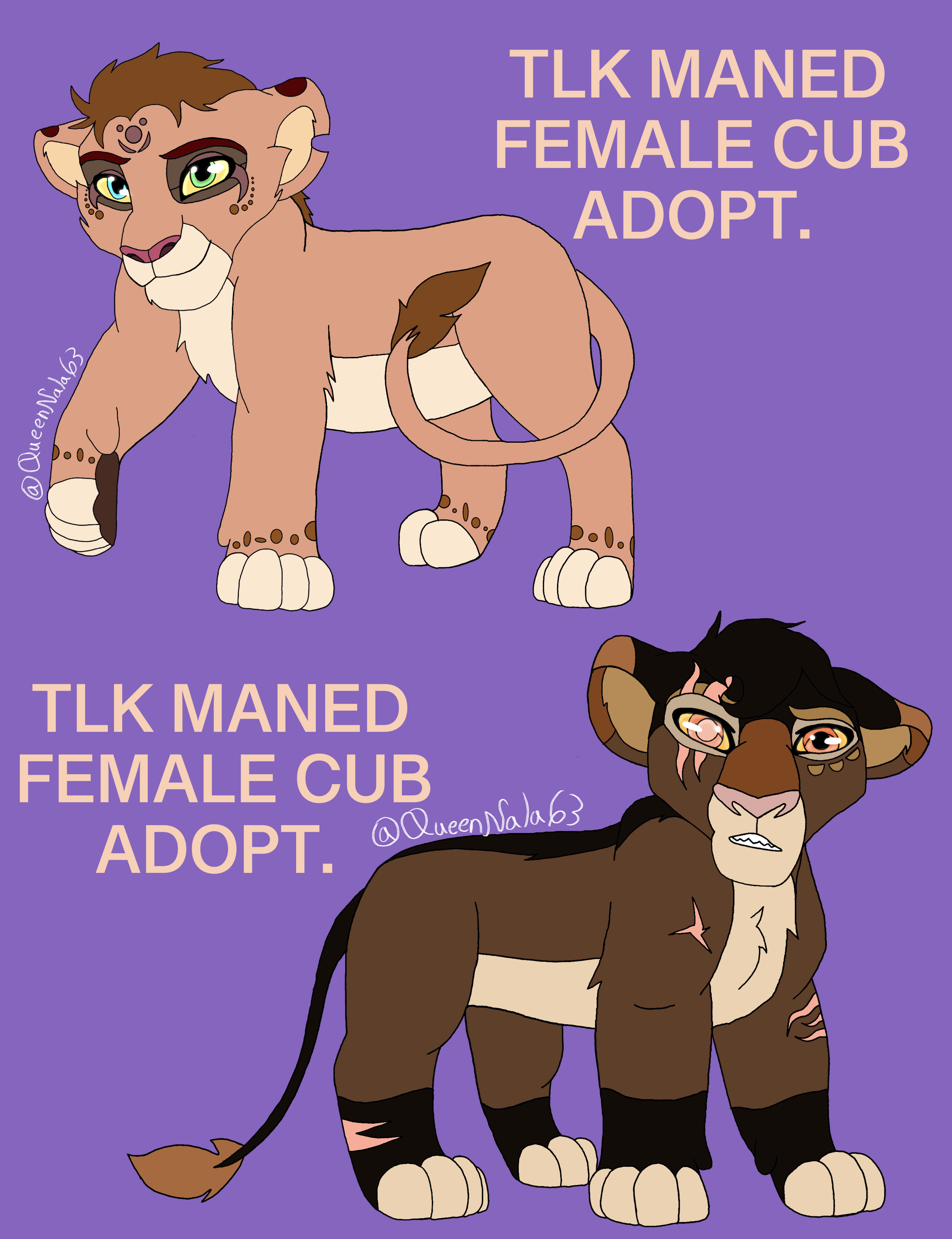 Tlk Maned Lioness Cub Adopts Taken By Queennala63 On Deviantart