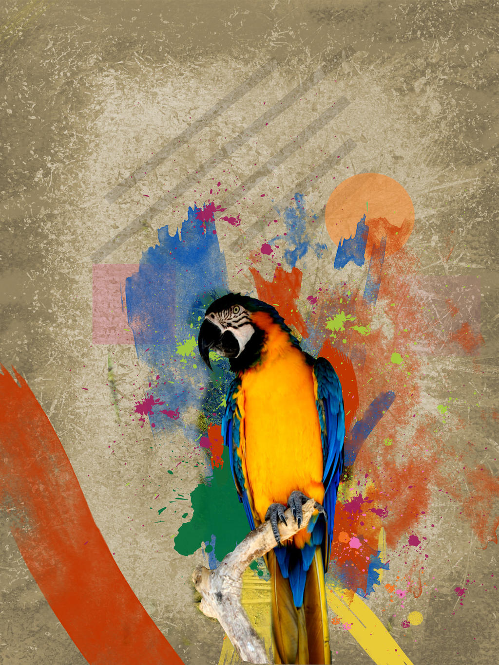 Parrot by TheIceDancer on DeviantArt Parrot by TheIceDancer on DeviantArt